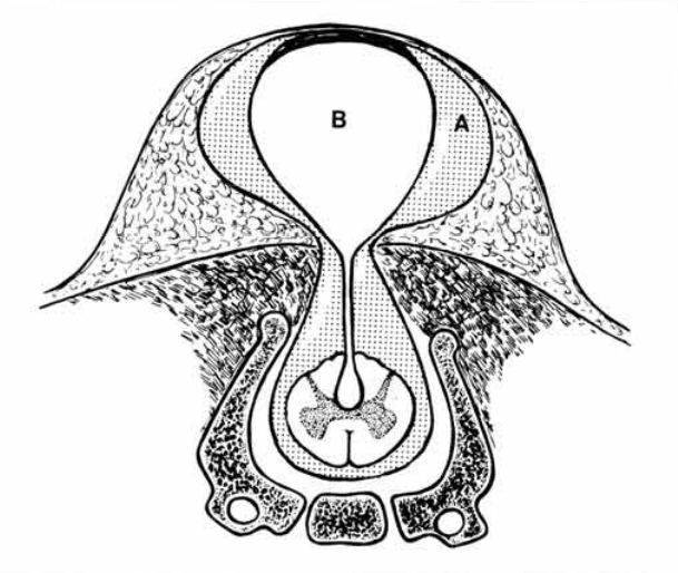 Case of the Week #531