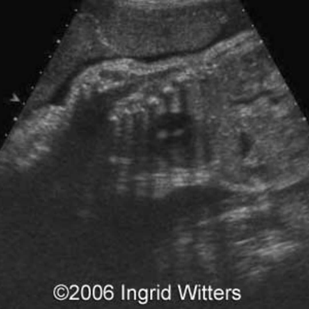 📃 Mohr-Majewski spectrum