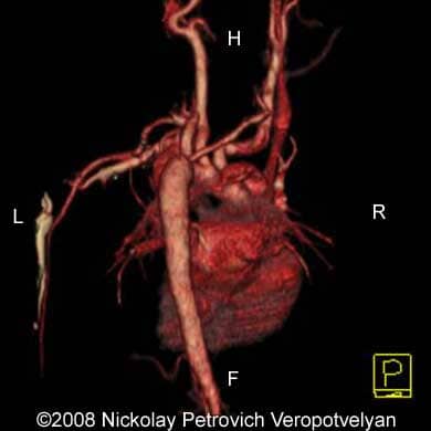 Case of the Week # 237
