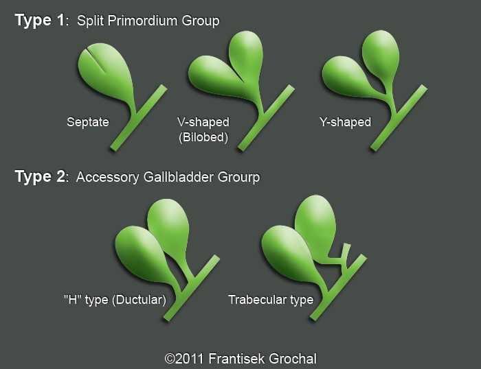 Case of the Week # 307