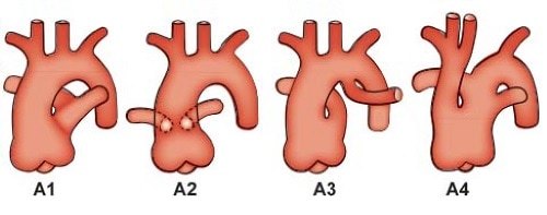Case of the Week # 455