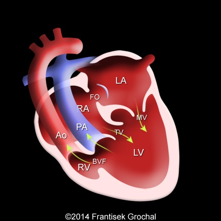 Case of the Week # 386